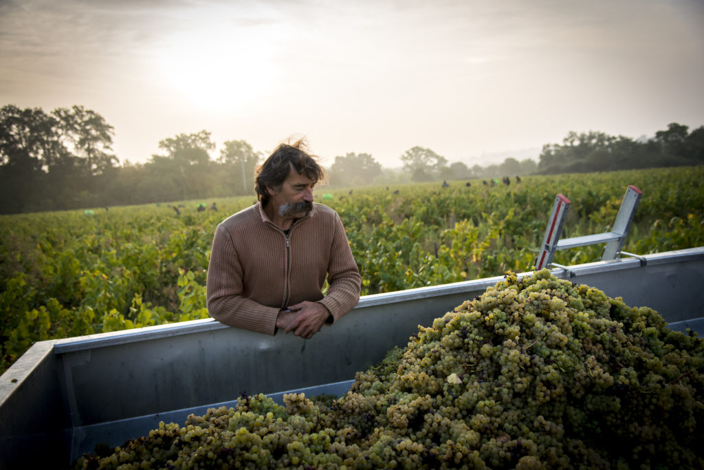 The Philosophy of Domaines Landron