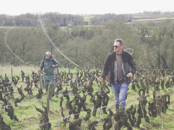L'Équipe des Domaines Landron